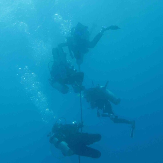 Scuba Diving Centre | Dubai, UAE, Musandam | Freestyle Divers