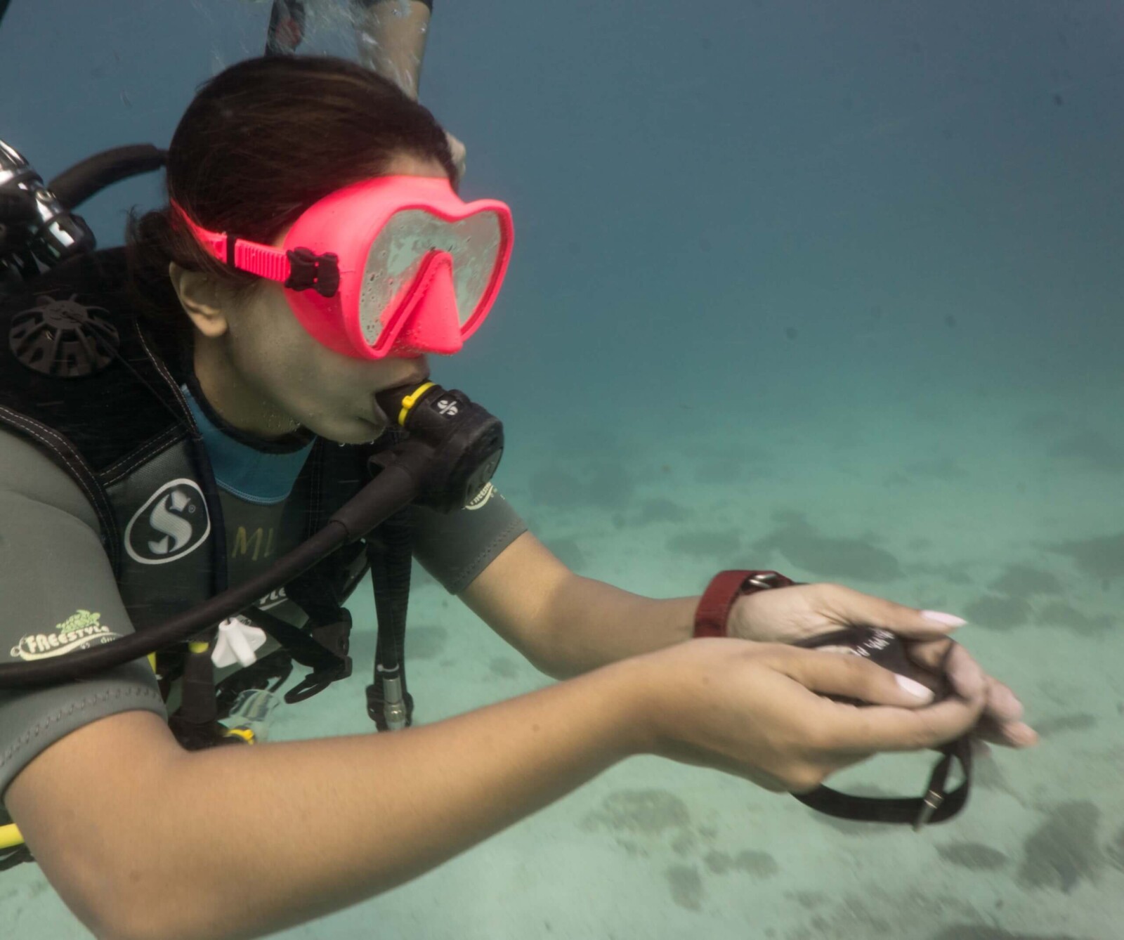 Scuba Diving Centre | Dubai, UAE, Musandam | Freestyle Divers