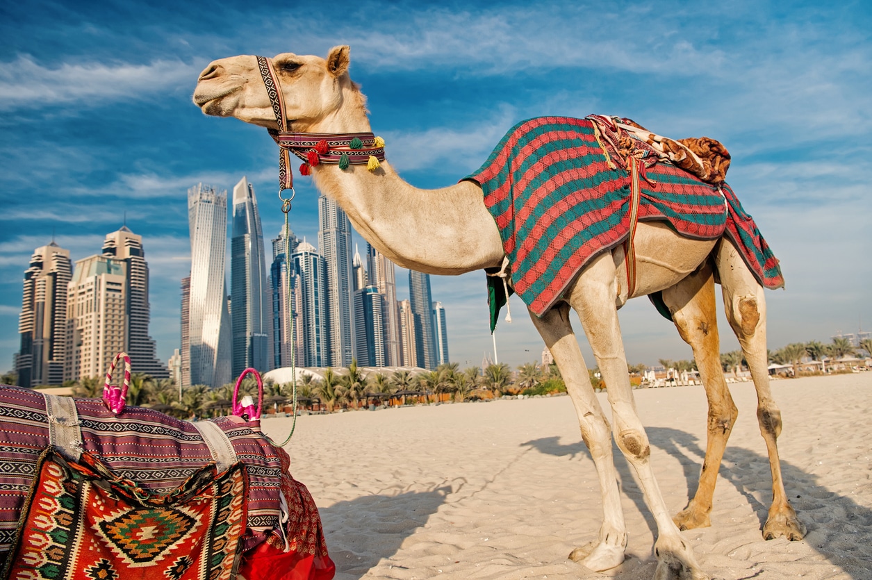 Top 12 Exciting UAE Adventure Activities | United Arab Emirates