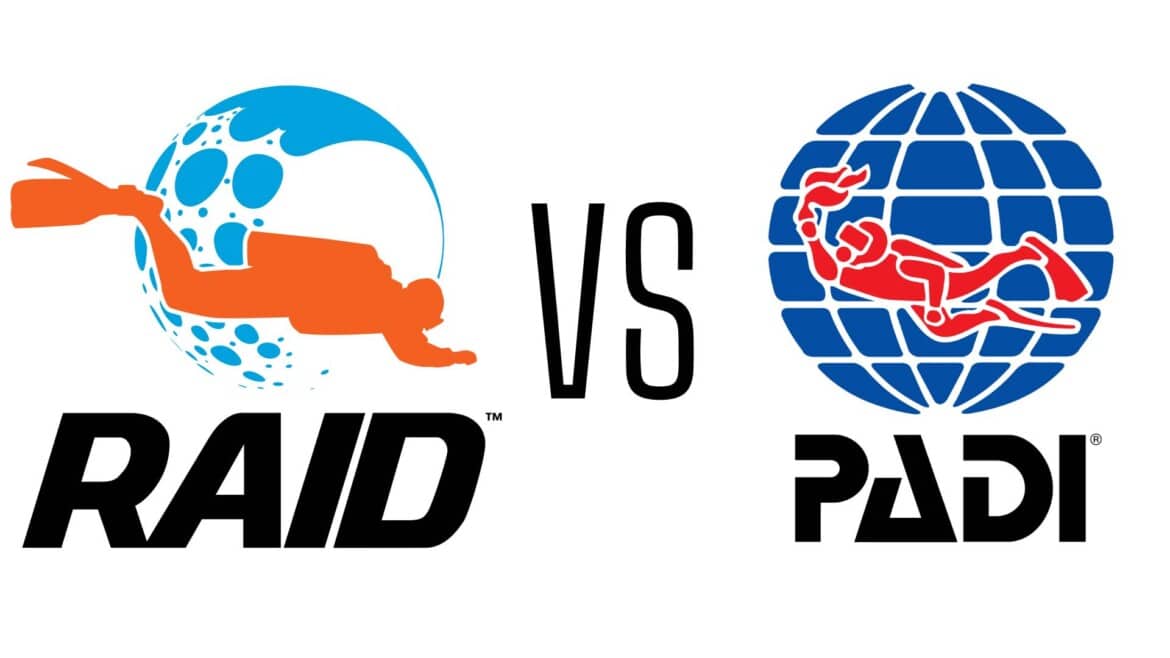 The Differences Between RAID & PADI Diving | RAID vs PADI?