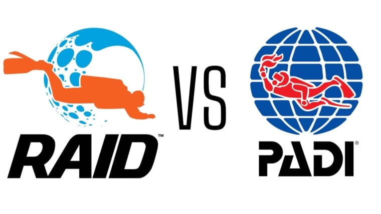 The Differences Between RAID & PADI Diving | RAID vs PADI?
